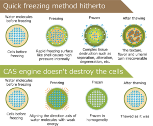 About the CAS Engine – ABI Co., Ltd.